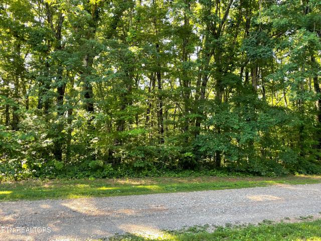 Highway 411 Lot 3, Madisonville, TN 37354