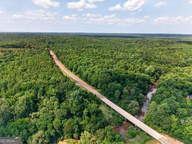 Highway 42, Forsyth, GA 31029