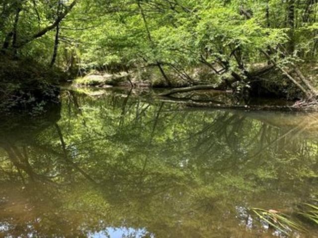Highway 438, Mount Hermon, LA 70450