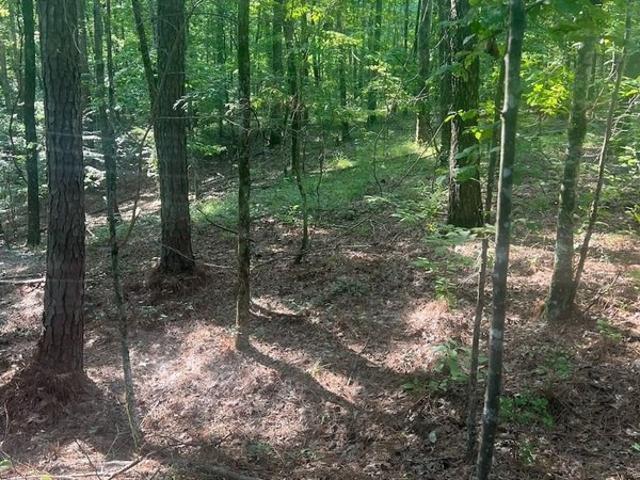 Highway 43 N # 2120 and Attala Rd, Ethel, MS 39067