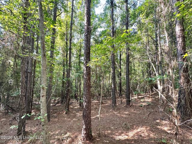 Highway 43, Ethel, MS 39067