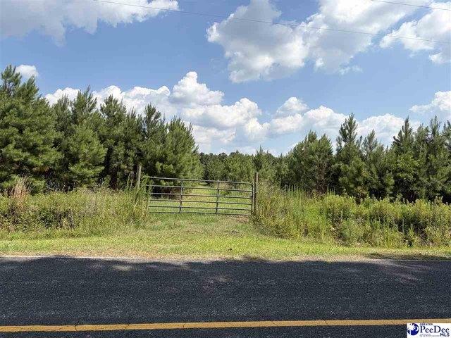 Highway 556, Scranton, SC 29591