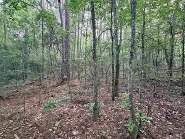 Highway 55 Lot 2, Sterrett, AL 35147