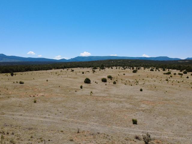 Highway 55