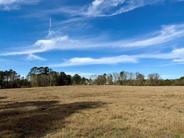 Benton Adkins Rd, Coushatta, LA 71019
