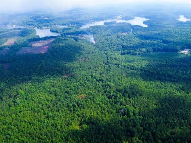 Highway 50, Dadeville, AL 36853
