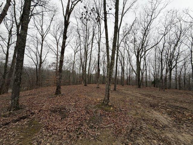 Highway 50 E, Centerville, TN 37033