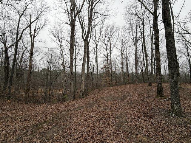 Highway 50 E, Centerville, TN 37033