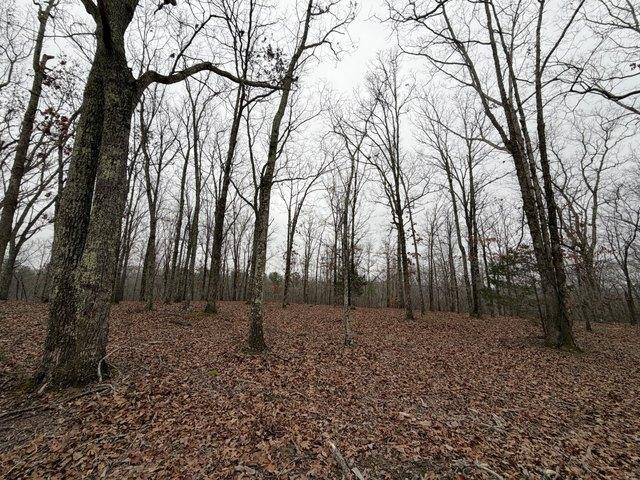 Highway 50 E Lot 1, Centerville, TN 37033