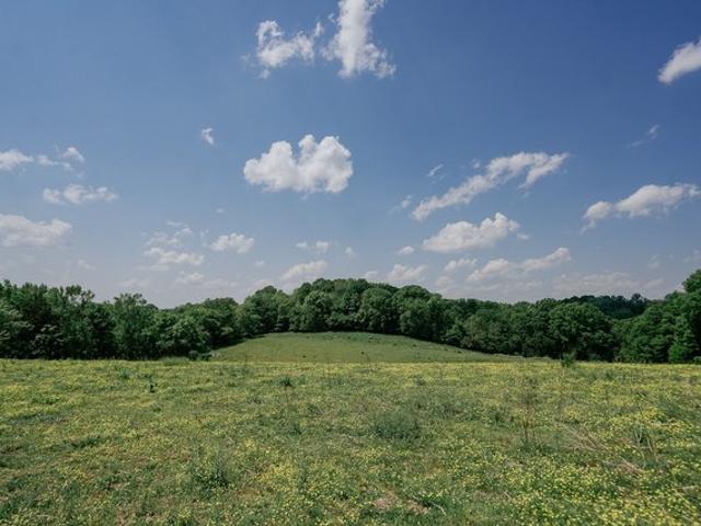 Highway 50, Winchester, TN 37398