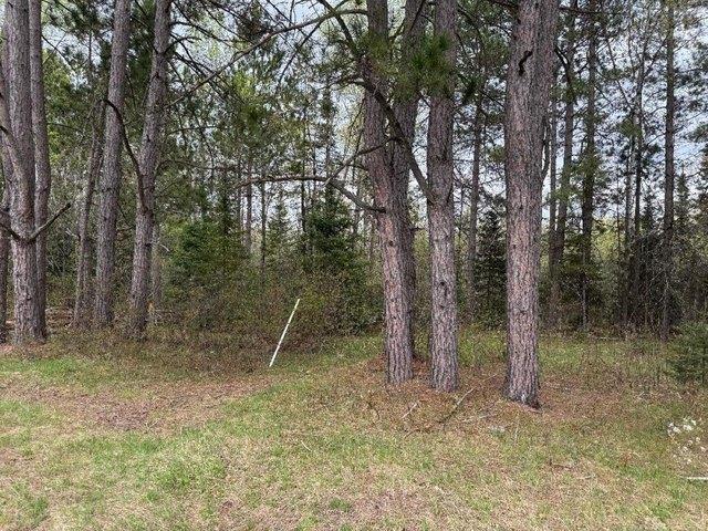 Highway 51 Lot On, Oma, WI 54534