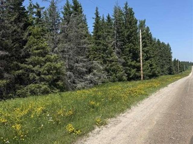 Highway 53, Cook, MN 55723
