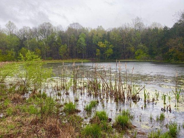 Highway 64 Arnold Rd E, Wartrace, TN 37183
