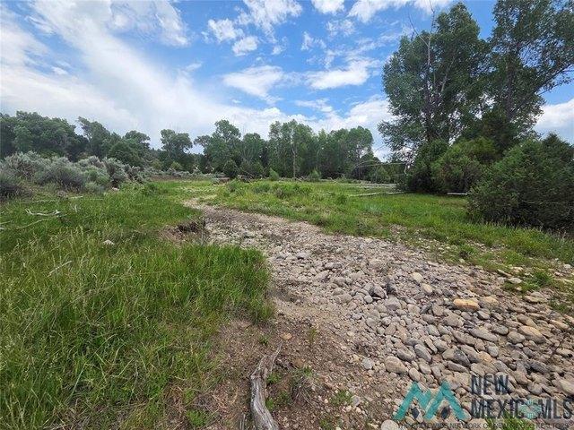 Highway 64 Dr, Tierra Amarilla, NM 87575