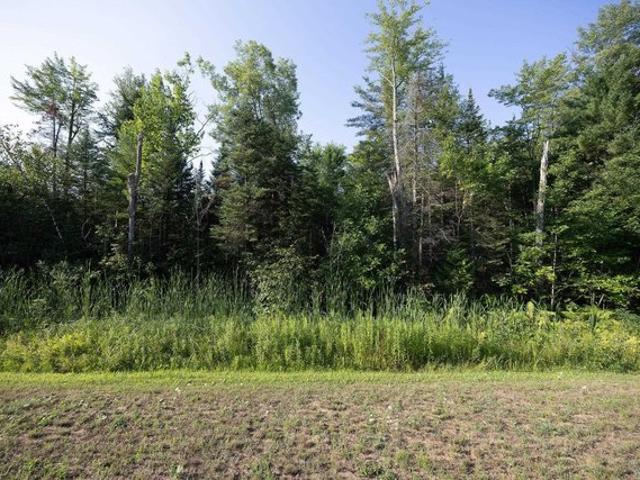 Highway 64 Rd Lot 1, Suring, WI 54174