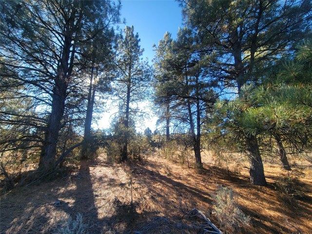 Highway 64, Tierra Amarilla, NM 87575