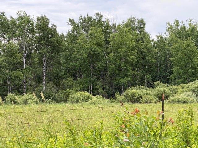 Highway 65, Nashwauk, MN 55769