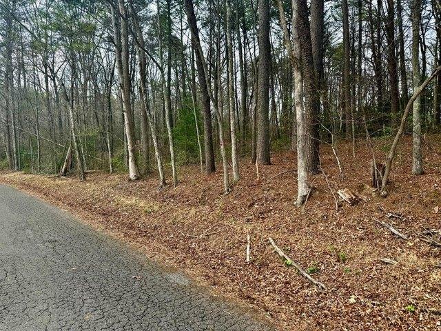 Highway 68 Lot 3, Turtletown, TN 37391
