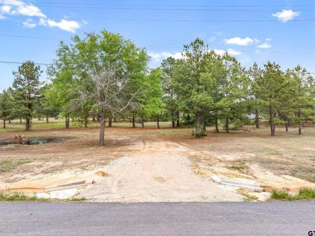 Highway 69, Alba, TX 75410