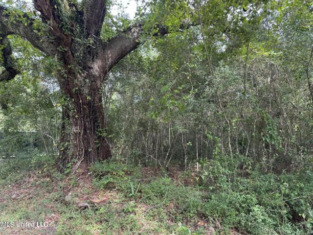 Highway 604 & 1st Avenue, Pearlington, MS 39572