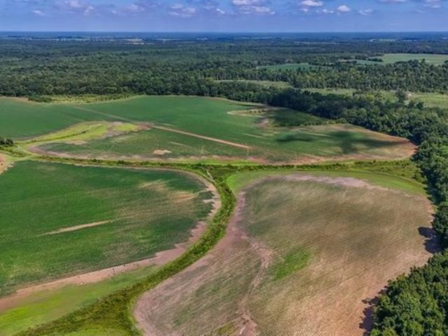 Highway 62, Blakely, GA 39823