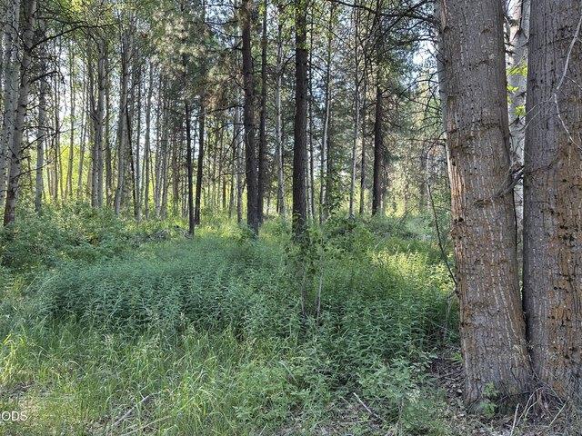 Highway 62, Chiloquin, OR 97624