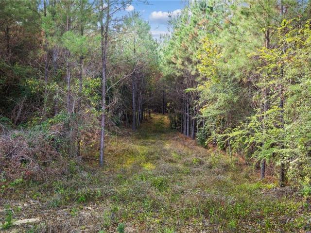 Highway 62 Lot 3