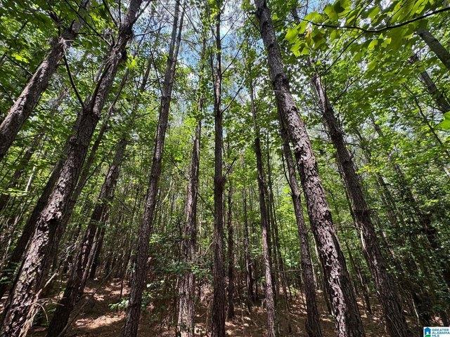 Highway 63, Goodwater, AL 35072