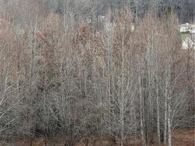 Highway 75 Alt Ga, Cleveland, GA 30528