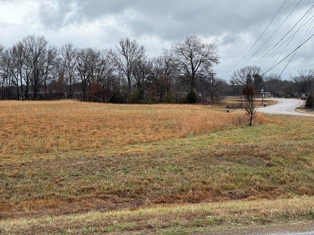 Highway 77/Browning Dr, Paris, TN 38242