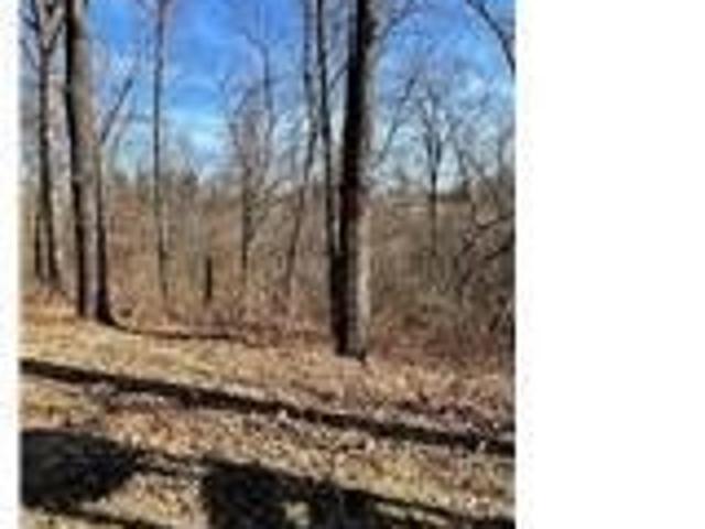 Highway 79, Louisiana, MO 63353