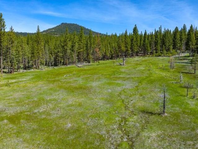 Highway 70 Parcel 1A, Portola, CA 96122