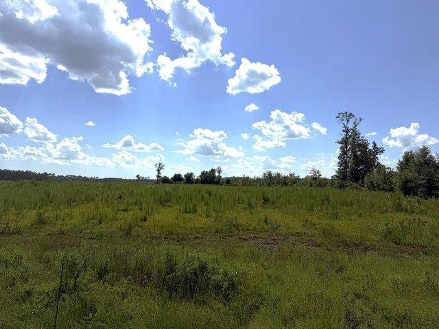Highway 71 S Lot 2, Wewahitchka, FL 32465