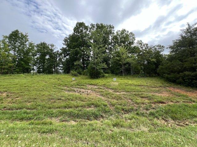Highway 7, Santa Fe, TN 38482