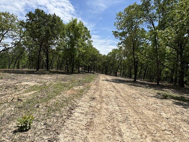 Highway 7, Roach, MO 65787