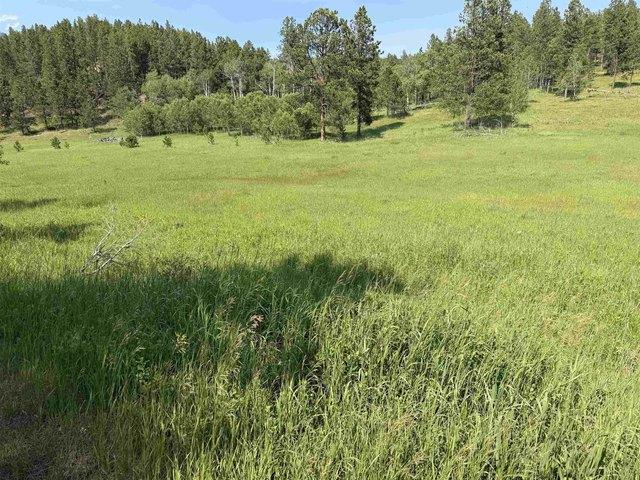 Highway 85, Buckhorn, WY 82701
