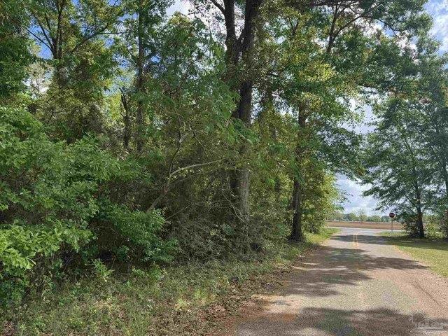 Highway 87, Jay, FL 32565