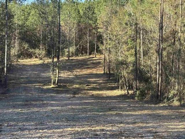 Highway 89 Lot 4, Allentown, FL 32565