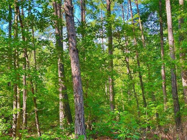 Highway 808, Haynesville, LA 71038