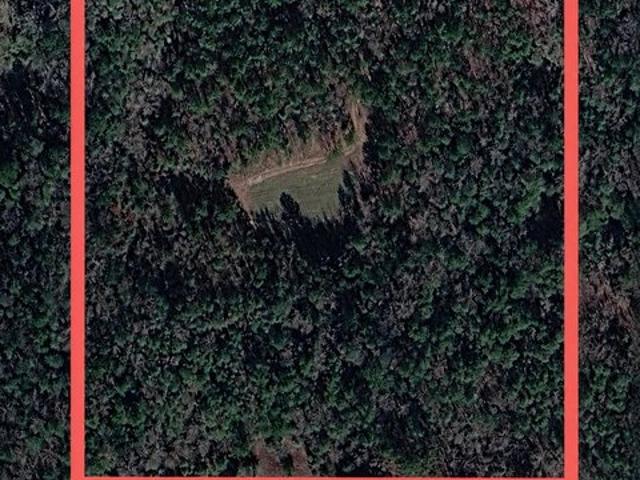 Highway 82 Lot 1, Maplesville, AL 36750
