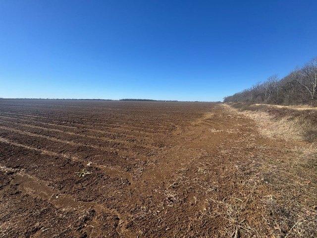 Highway 82 W, Montrose, AR 71658