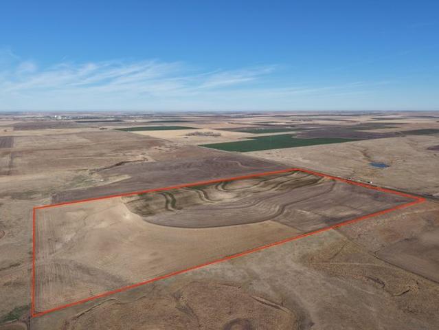 Highway 96, Ness City, KS 67601