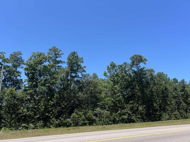 Highway 96, Lumberton, TX 77657