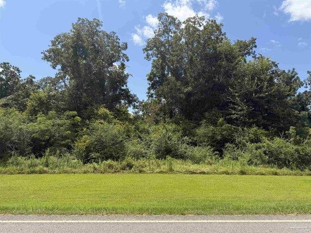 Highway 99 Lot 2, Walnut Hill, FL 32568