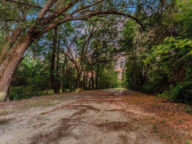 Highway 90, Grand Ridge, FL 32442
