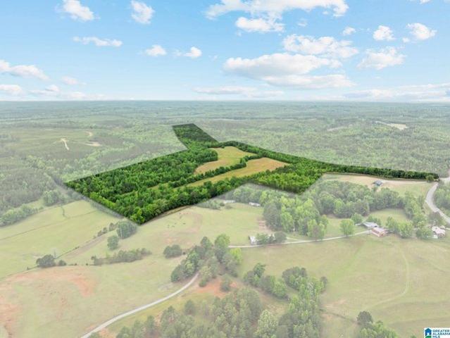 Highway 91 Acres Lot 107, Maplesville, AL 36750