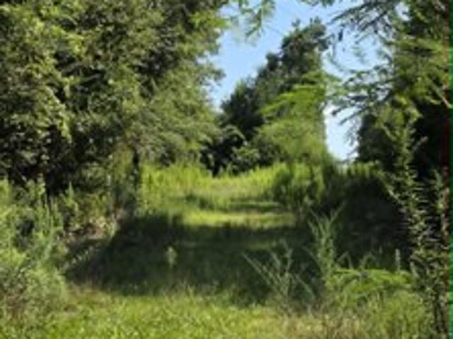 Highway 91, Hanceville, AL 35077