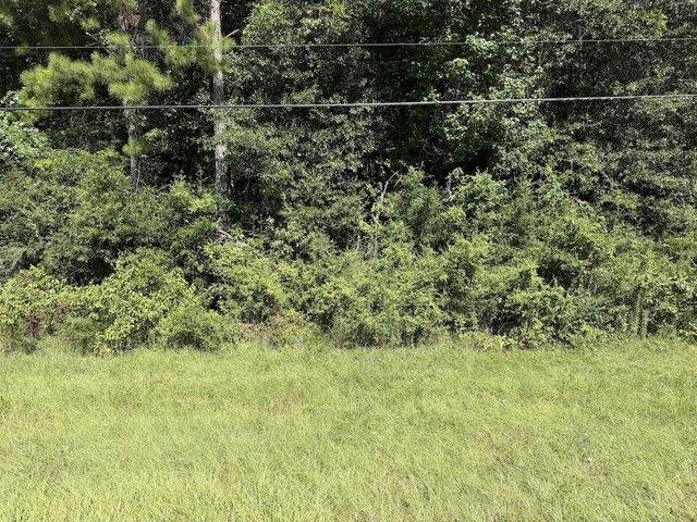 Highway 92, Spurger, TX 77660