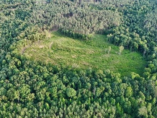 Highway 9, Bruce, MS 38915
