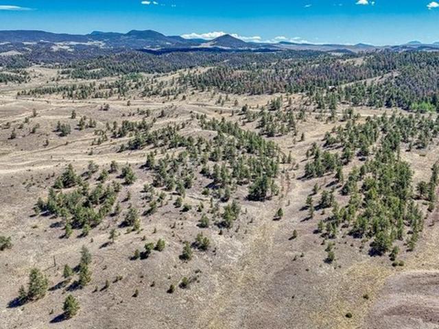 Highway 9 Lot 11, Hartsel, CO 80449